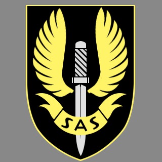 sas-千图网