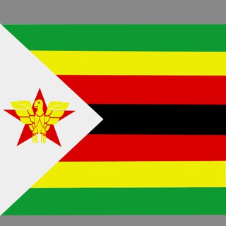 Zimbabwe National Army Logo